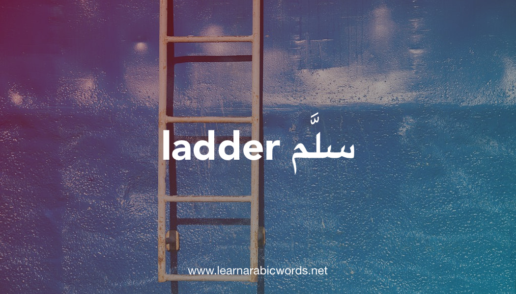 Ladder In Arabic ladder-in-arabic